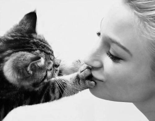 20 cats who love to shush people (and a few doggies)