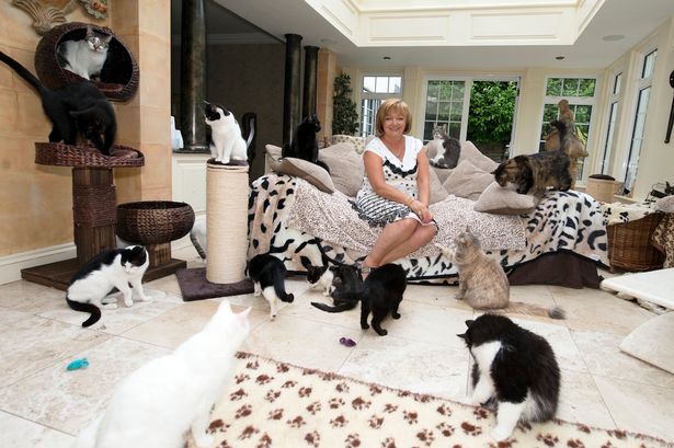 Meet the woman who haz 122 cats... now that's a cat lady!