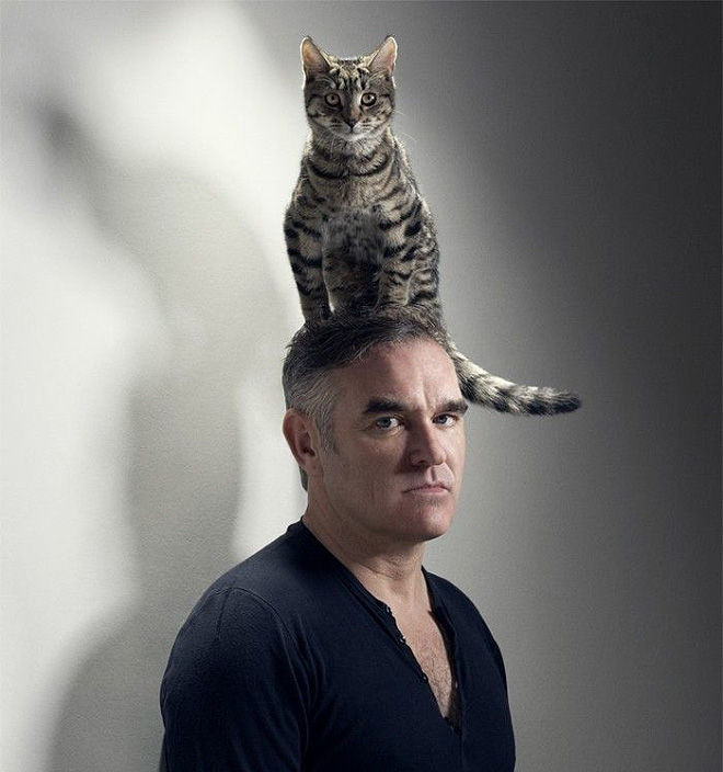 The absolute worst (and hilarious) pictures of men with cats
