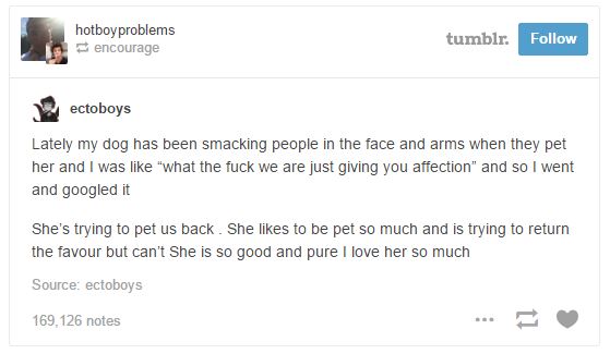 19 tumblr posts that prove pets are the best thing ever