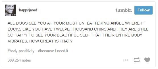 19 tumblr posts that prove pets are the best thing ever