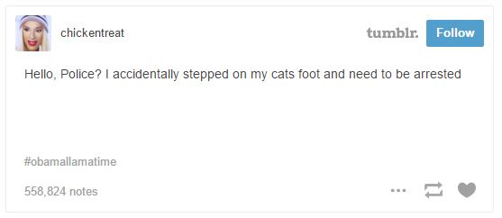 19 tumblr posts that prove pets are the best thing ever