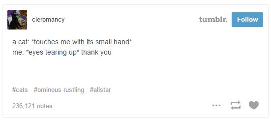 19 tumblr posts that prove pets are the best thing ever