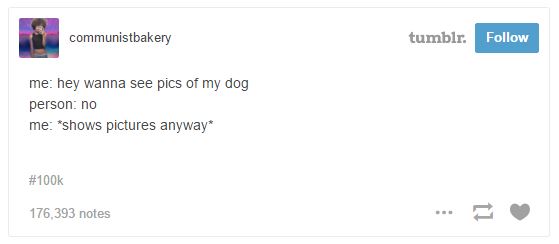 19 tumblr posts that prove pets are the best thing ever