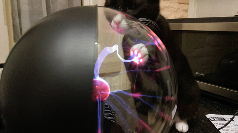 This is what happens when a cat touches a plasma ball...