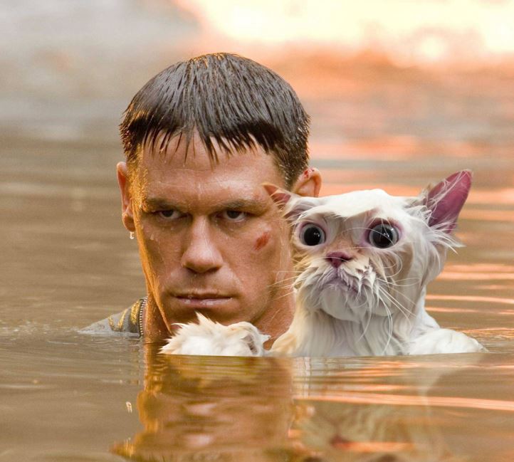 12 Photoshopped pictures of this wet kitty will crack you up!