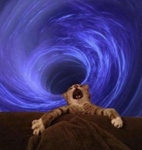 Conditional in German - The Ultimate Guide