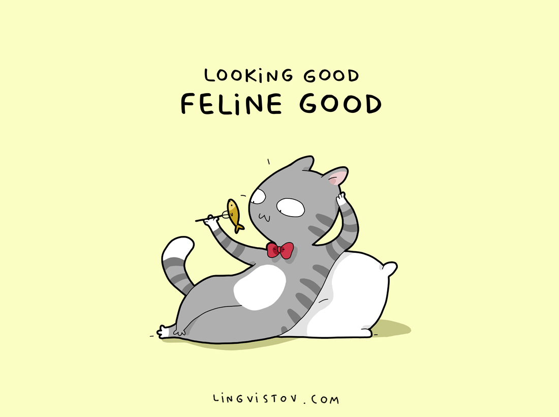 8 Cat Puns That Will Totally Make Your Day 8 Cat Puns That Will Totally Make Your Day