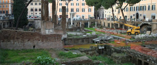Julius Caesar's ancient temple in Rome is now a cat sanctuary!