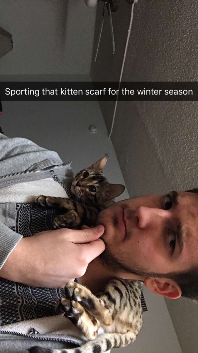 17 cat scarves to keep you warm this winter