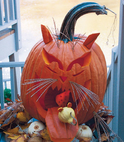 11 Awesome Cat Pumpkin Carving Ideas 