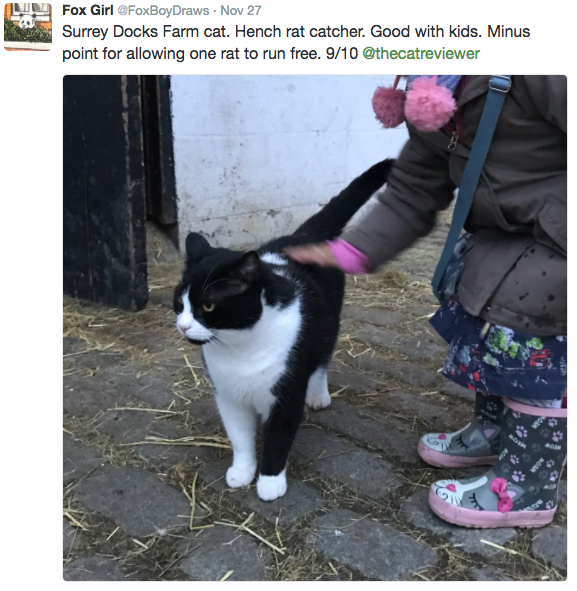 The Cat Reviewer encourages people to review every cat they meet and it ...