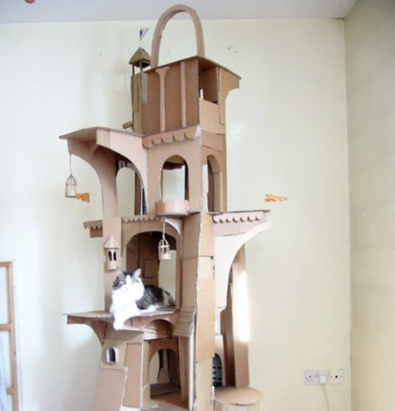 Guy Creates Epic Cardboard Structures For His Cat Gallery 