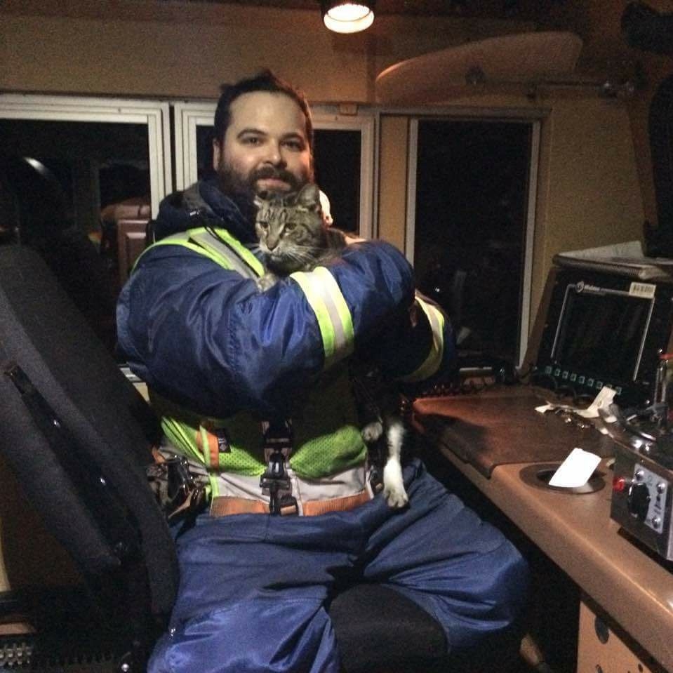 Conductor finds cat nearly frozen to death on train and brings him back ...