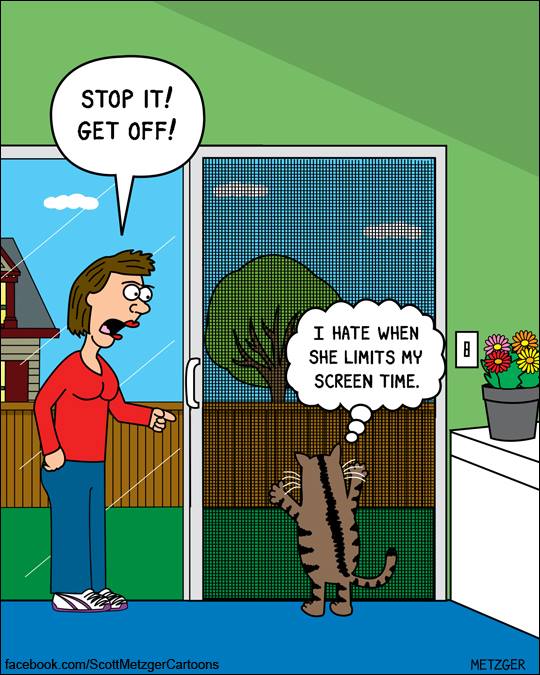 26 adorably funny cat cartoons that will get you through the day