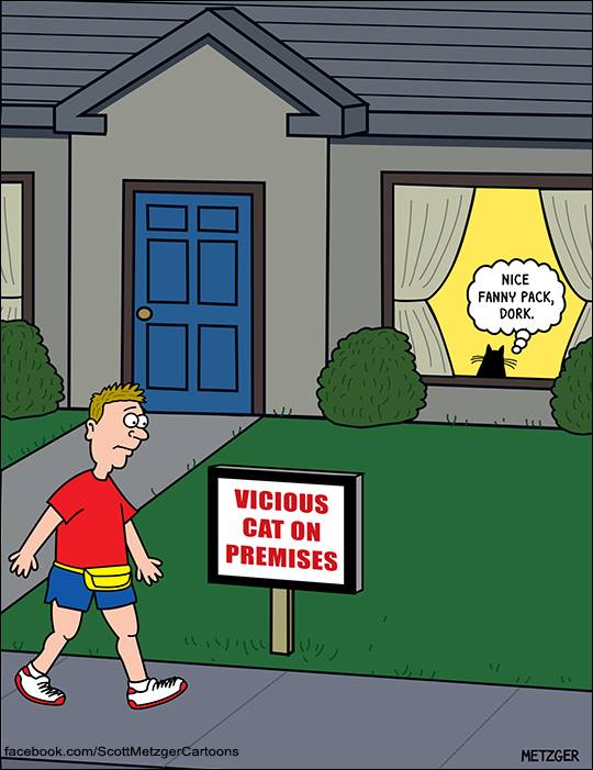 26 adorably funny cat cartoons that will get you through the day