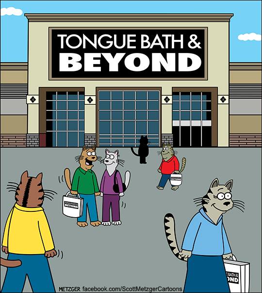 26 adorably funny cat cartoons that will get you through the day