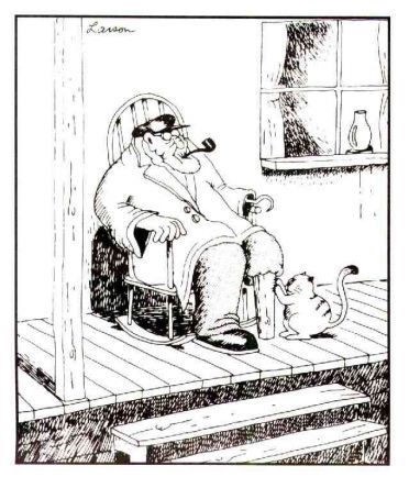 13 'The Far Side' comic strips featuring cats!