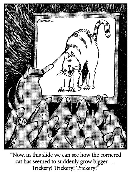 13 'The Far Side' comic strips featuring cats!