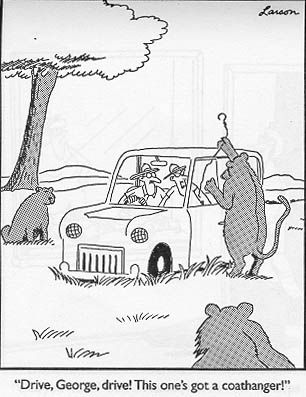 13 'The Far Side' comic strips featuring cats!