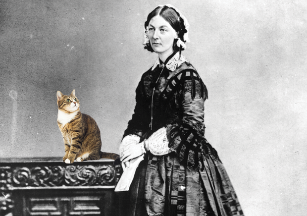 8 of the greatest "Crazy Cat Ladies" in history