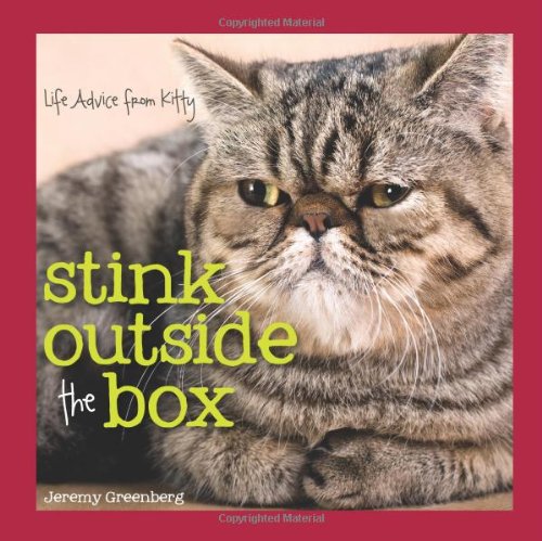 9 hilarious cat books you need to read