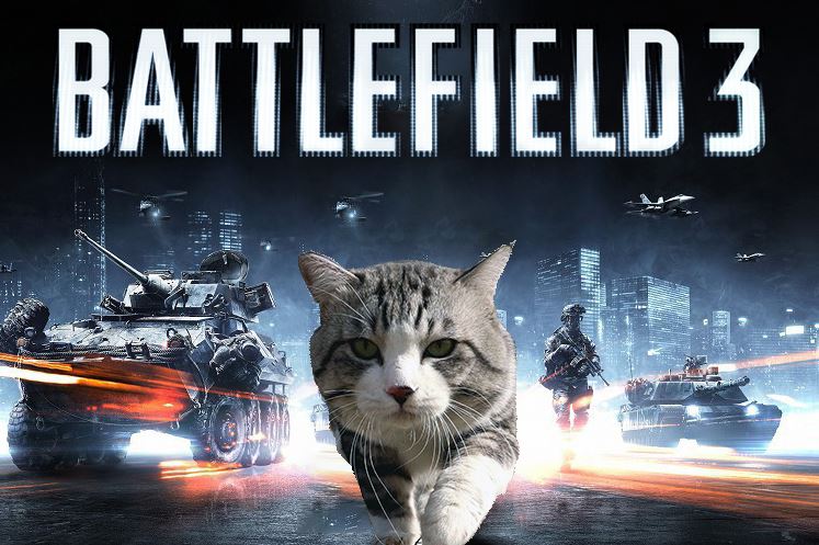 Cat walking away from explosion inspires another great Photoshop battle