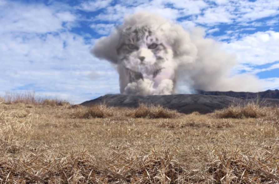 Cat walking away from explosion inspires another great Photoshop battle