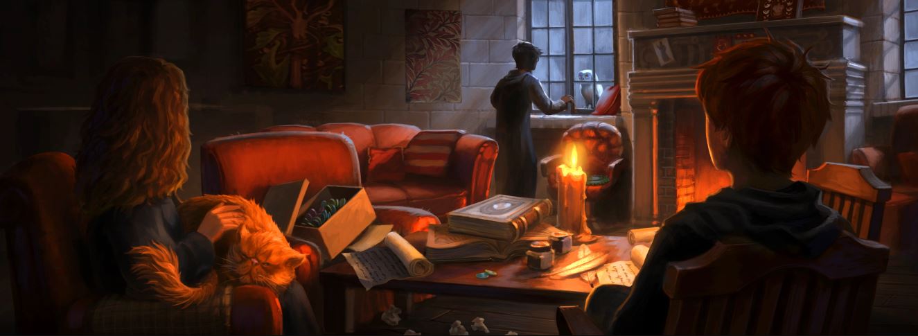 Why Crookshanks the cat is totally underrated in the Harry Potter series