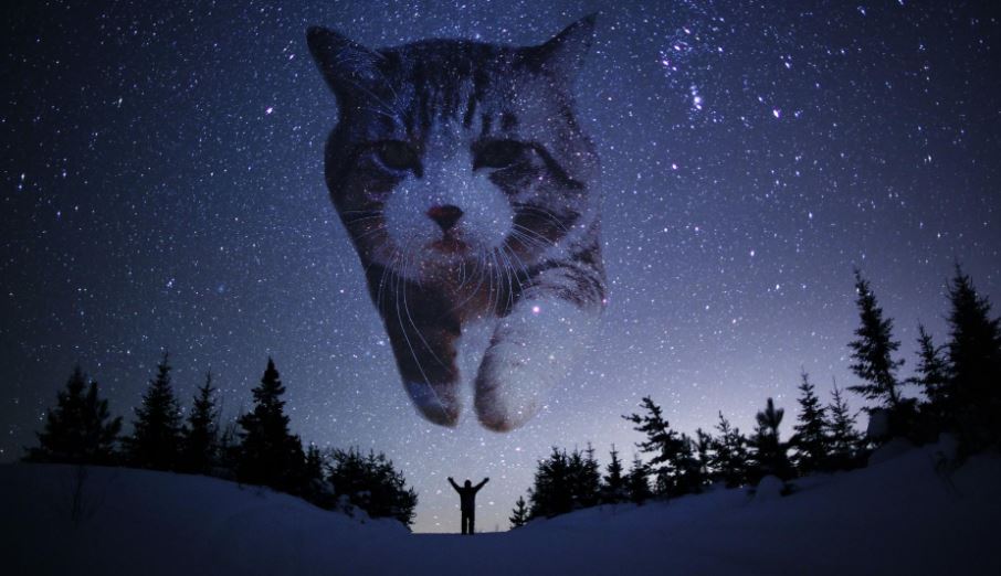 Cat walking away from explosion inspires another great Photoshop battle