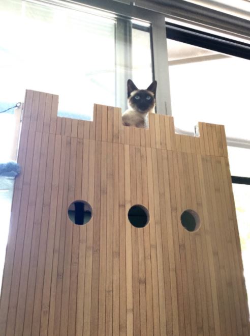 A man built a cat castle for his little princess and its pawsome! (Gallery)