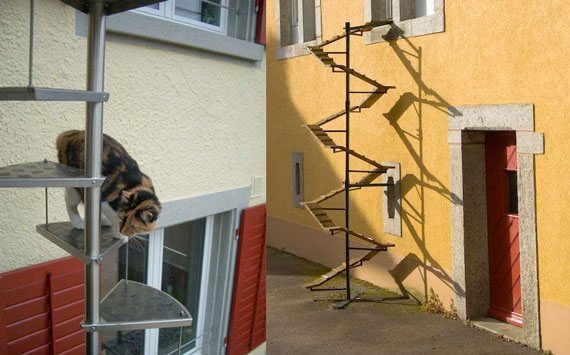These cat ladders found in Switzerland are pretty epic (Gallery)