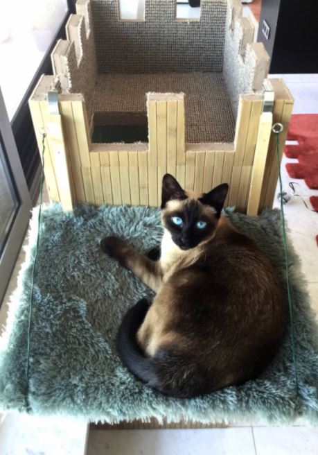 A man built a cat castle for his little princess and its pawsome! (Gallery)