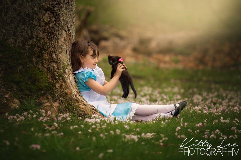 To celebrate her daughter's new kitten, this mom created a magical ...