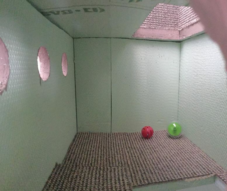 A man built a cat castle for his little princess and its pawsome! (Gallery)