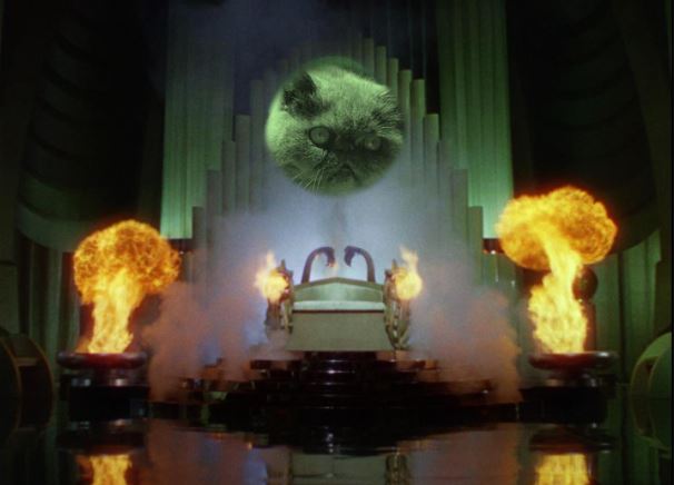 Floating cat head gets the Photoshop treatment (Gallery)