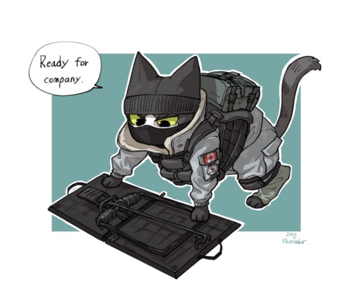 What an all cat swat team would look like (Gallery)