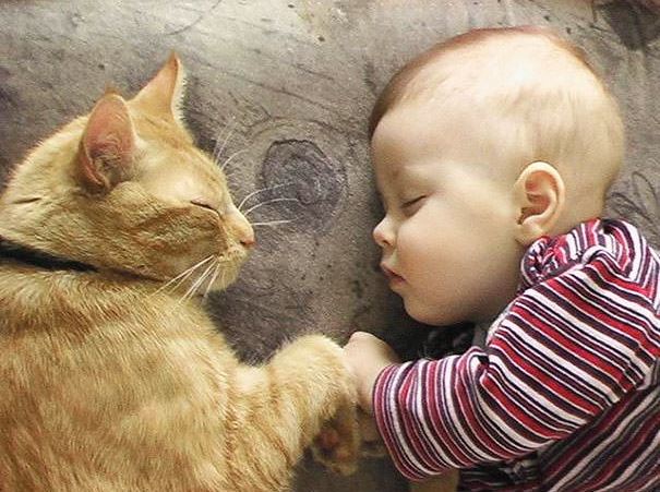 The friendship between children and cats is magical (Gallery)
