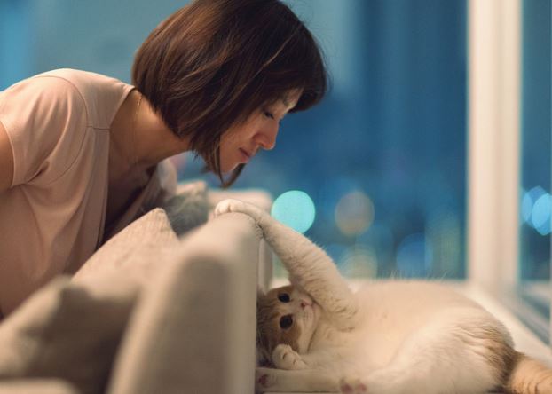 Her cat loves ice but would always make a mess... so she created this ...