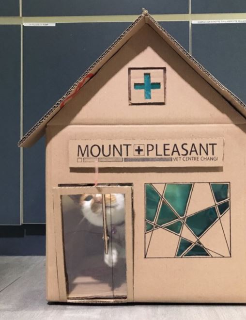 Vet office makes the most amazing houses for their resident cat! (Gallery)