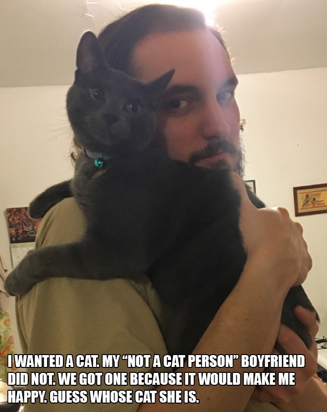 12 people who said they didn't want cats... but look at them now