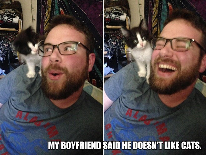 12 people who said they didn't want cats... but look at them now