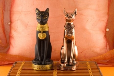The 10 Feline Commandments