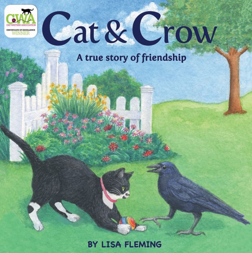 A crow raised and befriended a stray kitten, and this couple caught it ...