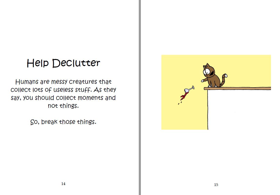 A Cat’s Guide To Taking Care Of Your Human